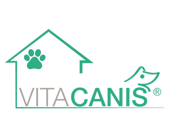 Luxury Dog Boarding in Uttoxeter | Vita Canis Kennels